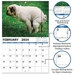 Gag Gifts - 2024 Wall Calendar, White Elephants Pooping Dogs, Calendar 2024 from Jan.2024 to Dec.2024, 12 Monthly Calendar Planner, Wall Calendar 2024, Funny Calendar for Family, Friends