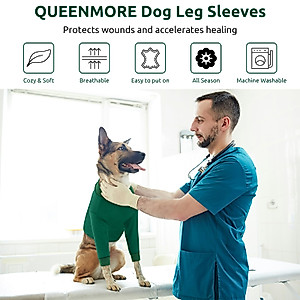 Queenmore Dog Recovery Suit for Front Legs, Adjustable Dog Leg Sleeves to Stop Licking, Breathable Suitical Recovery Sleeve for Large Dogs, Wound Care for Dogs, Green, L