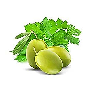 Fruits & Passion [Cucina - Coriander & Olive Tree Dish Soap Refill, All Natural Dish Detergent Liquid Refill, Vegan & Cruelty-Free, Clear Dish Soap Liquid Refill (33.8 fl oz)