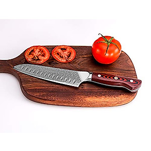 WELLSTAR Santoku Knife, Damascus Steel Kitchen Knife 7 Inch, Japanese AUS10 High Carbon Steel 67-Layer Blade Full Tang with Ergonomic G10 Handle, Razor Sharp Chefs' Knife - Gift Box
