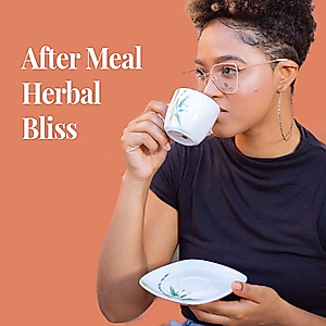 The Republic of Tea - Orange Ginger Mint Herbal Tea, 36 Tea Bag, Tin | Caffeine-free