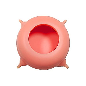 Puppy Milk Feeder with 4 Nipples Milk Bowl Puppy Feeder 200ml Puppy feeders for Multiple Puppies Puppy Nursing Station for Feeding Small Newborn Pets Within Two Weeks (Pink)