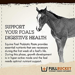 FullBucket Foal Probiotic Paste (Single)