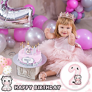 MTLEE Number 2 Pink Cow Glitter Birthday Candles Sparklers Pink Glitter Happy Birthday Number Candles Number Birthday Cake Topper with 10 Long Thin Cupcake Candle for Party Farm Birthday Decorations