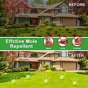 12pack Mole Repellent, Gopher Repellent, Vole Repellent, Powerful Mole Repellent for Lawn Garden Yard Outdoor, Snake Repellent, Groundhog Repellent, Armadillo Repellent, Mole Deterrent