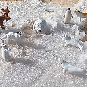 Safari Ltd Arctic TOOB With 10 Fun Figurines, Including A Harp Seal, Husky, Caribou, Arctic Rabbit, Killer Whale, Walrus, Arctic Fox, Beluga Whale, Igloo, And Polar Bear – For Ages 3 and Up