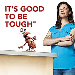 Raid Ant Killer Baits, For Household Use, Child Resistant, 8 Count