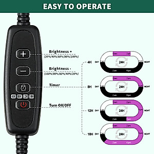 Seed Starter Tray, Plant Propagation Station with Grow Light, Seedling Starter Trays with Timing Controller, Mini Greenhouse Kit with Humidity Domes and Base, Plant Tray for Seeds Growing Starting