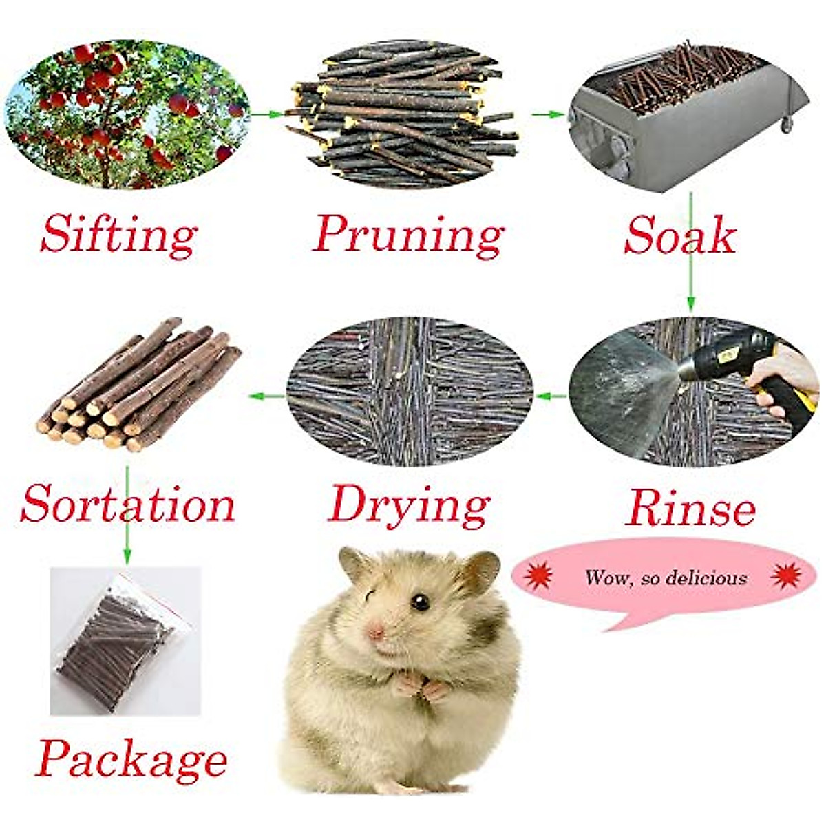 Z-TON Apple Sticks Pet Chew Toys for Chinchillas Guinea Pigs Rabbits Small Animals (100g)