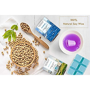 SCENTORINI Wax Melts, Scented Soy Wax Cubes for Wax Warmer, 8 x 2.5 oz, Sea Breeze, Linen, Winds in Summer, Espresso, Cherry, Raspberry & Cinnamon, Lavender, Blush Peony