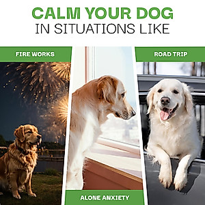 Nautical Nourish Calming Bacon Dog Treats - Help Relief Anxiety, Balance Stress Levels and Overall Mood, Supports Relaxation for Dogs, 30 Count