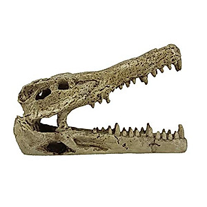 Pangea Reptile Crocodile Skull Terrarium Decoration, Tan