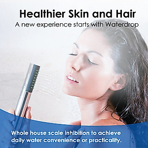 Waterdrop AP431 AP430SS Whole House Scale Inhibitor Filter, Heater Softener System, Prevent Scale Build Up On Hot Water Heaters, Pipes and Boilers