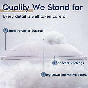 viewstar Pillows Queen Size Set of 2, Bed Pillows for Sleeping, Queen Pillows 2 Pack for Back, Stomach or Side Sleepers, Fluffy Pillows for Bed with Down Alternative, Machine Washable, 19" x 28"