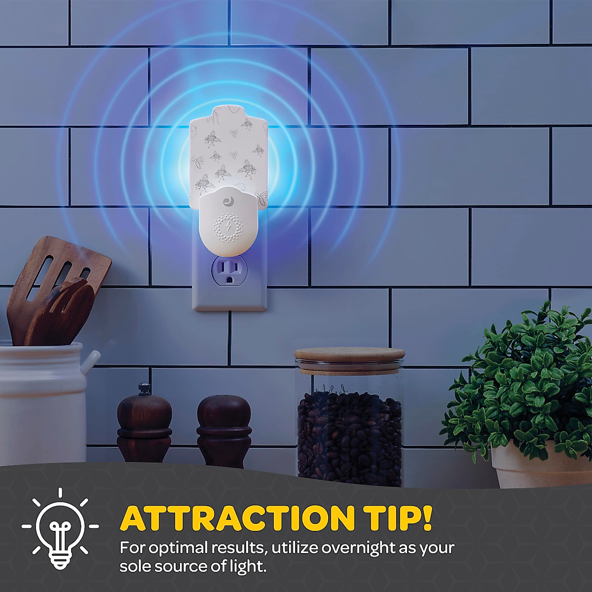 Fly Trap Indoor (2PK) Capture Flies, Moths, Fruit Flies, Gnats, Mosquito Trap, Plug-in Gnat Traps for House Indoor with Attractive UV Light Odor/Mess-Free. 600 Sq Ft Protection (2 Devices + 6 Refill)