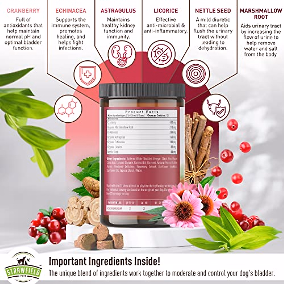 Cranberry Supplement for Dogs -120 Grain Free Dog Treats - Cranberry Chews for Urinary Tract Infection Treatment UTI Relief Bladder Control Support UT Incontinence - D-Mannose, Organic Echinacea, USA