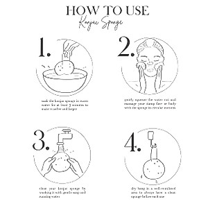 The Beauty Shelf Konjac Sponge (3 Pack) Activated Bamboo Charcoal. Facial Cleansing & Exfoliating Beauty Sponges