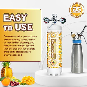 Galaxy Gas Tropical Punch Flavor, Whipped Cream Dispenser Cartridge Tank, Nitrous Oxide 2.2L 1100 Gram, Whipped Cream Tank, N2O Charger Tank, 1 Cylinder