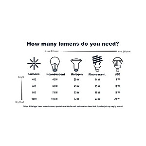 DESIGNERS FOUNTAIN Devonshire Outdoor Light Fixture, 14 Inch Exterior Wall Mount Lantern Sconce, Clear Glass Porch Lights for Front Door, Patio, and House Garage, Black, 2961-BK