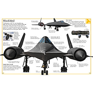 The Big Book of Airplanes (DK Big Books)