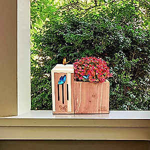 Solution4Patio USA Cedar Butterfly House & Flower Pot 2 in 1 Combination Multifunctional Design with Drainage Holes, 9.2 in. L x 5.7 in. W x 8.0 in. H #B309A00