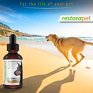 RestoraPet 1-Pack Dog & Cat Beef Liquid Multivitamin | Dog Arthritis Pain Relief | Hip & Joint Vitamins for Dogs - Anti Inflammatory Supplement for Dogs & Cats | Organic & Non-GMO, Vet Approved