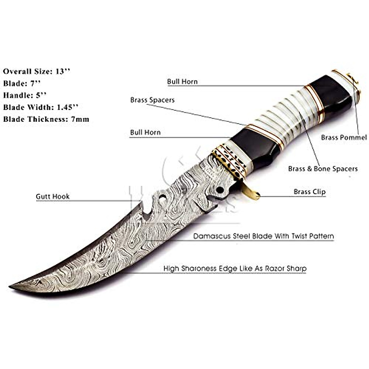 NoonKnives: Hand Made Damascus Steel Collectible Bowie Knife Handle Camel Bone with Bull Horn (Black and White)