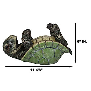 Ebros Gift Drunken Coastal Sea Turtle Tortoise Wine Bottle Holder Caddy Figurine As Home Kitchen Wine Cellar Decorative Storage Organizer Wild Aquatic Animals Turtles Terrapins Tortoises Decor