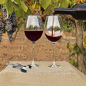 KORCCI Wine Opener, Wine Bottle Opener, Zinc Alloy Wing Corkscrew Heavy Duty, Cork Screw Beer Opener for Bartenders, Multifunctional Bottle Opener for Home Kitchen, Restaurant, Bar, Waiters