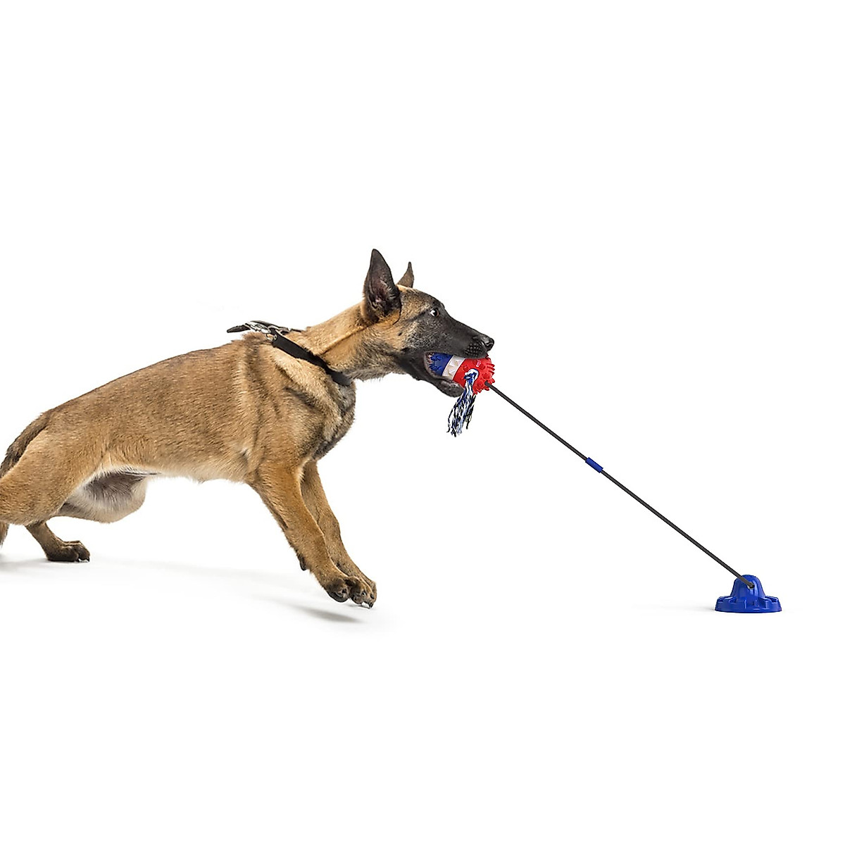 Carllg Dog Toys for Aggressive Chewers Large Breed, Suction Cup Tug of War Pull Toy, Interactive Rope Squeaky Dog Chew Toy Indestructible