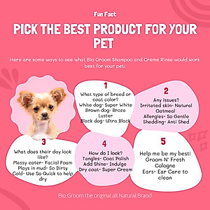 Bio-Groom Oatmeal Dog Conditioner - for Allergies and Itching, Cruelty-Free, Dog Bathing Supplies, Puppy Conditioner for Sensitive Skin, Made in USA, Anti-Itch Dog Products - 12 fl oz 1-Pack