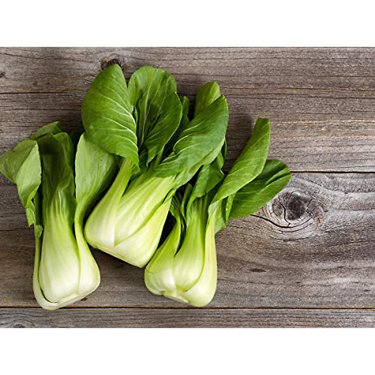 Gaea's Blessing Seeds - Bok Choy Seeds (2.0g) Canton Pak Choi Chinese Cabbage Non-GMO Seeds with Easy to Follow Planting Instructions - Heirloom 90% Germination Rate