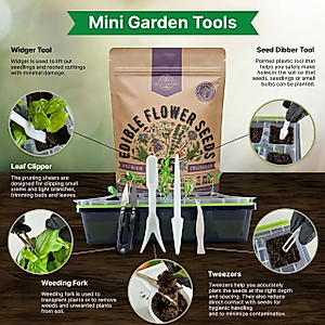 Organo Republic 25 Edible Flower Seeds Variety Pack- Indoor/Outdoor. 8000+ Non-GMO Heirloom: Anise, Hyssop, Nasturtium, Pansy, Echinacea, Lavender, Chives Seeds & More