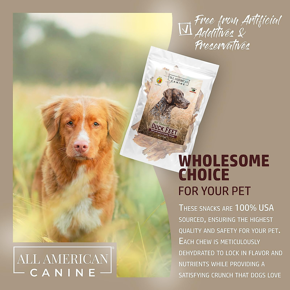 All American Canine Duck Feet Natural Single Ingredient Chewy Digestible Low-Fat Dehydrated Dog Treats for Training, Rewarding, Teeth Cleaning - 24 Treats