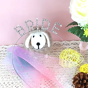 AUEAR, Rhinestone Bride Headband Elegant Bride Crown Bachelorette Party Headbands (Silver)