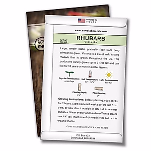 Sow Right Seeds - Victoria Rhubarb Seeds for Planting - Non-GMO Heirloom Packet with Instructions to Plant and Grow an Outdoor Home Vegetable Garden - Spectacular Pie Ingredient - Great Gardening Gift