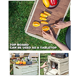 Collapsible Storage Bins Box with Lids and Handle 55L Camping Storage Box Foldable Plastic Storage Bin for Fishing Car RV, Office