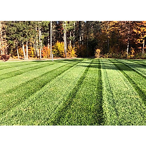 10-0-20 Emerald Lawn Fertilizer - 45% XCU Slow-Release, 10% Iron and GreenTRX Bios (1 Bag Covers up to 5,000 sq. ft.)