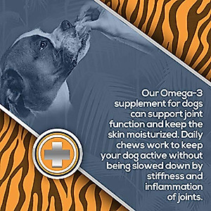 Jungle Pet Omega 3 Fish Oil for Dogs - Softgels Capsules Omega 3 for Dogs - Healthy Skin and Coat Dog Fish Oil Supplements - Medium & Large Dog Omega 3 Supplement for Skin and Joint Support - 60 ct