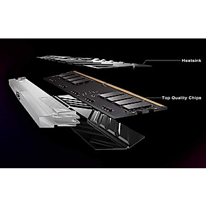XPG Spectrix D41 TUF Certified RGB DDR4 3200MHz 32GB (2x16GB) 288-Pin CL16-20-20 PC4-25600 Desktop U-DIMM Memory Retail Kit Black (AX4U3200716G16A-DB41)