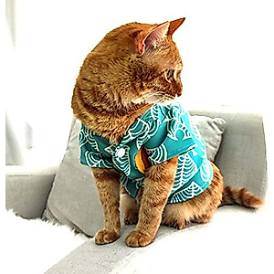 YuDanae Animal Tom Shirt Hood Headwear for Cat Small Dog Pet Cosplay Costume (White Shirt)