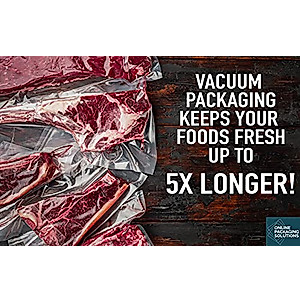 Chamber Vacuum Sealer, CM255, Perfect for Home and Commercial Kitchens, Industrial Grade Packaging Machine with High Powered Pump