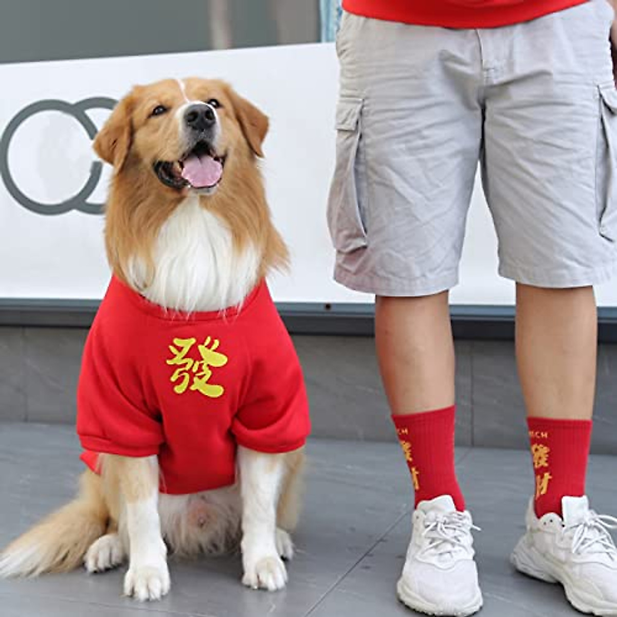 hionre Pet Red Pullover with Printed Chinese Characters Back Pocket Design Keep Warm Two-Legged Pet Dog Cat Sweater New Year Outfit Red 5XL