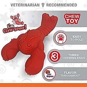 Nylabone Power Chew Lobster Dog Chew Toy, Cute Dog Toys for Aggressive Chewers, Filet Mignon Flavor, X-Large/Souper (1 Count)