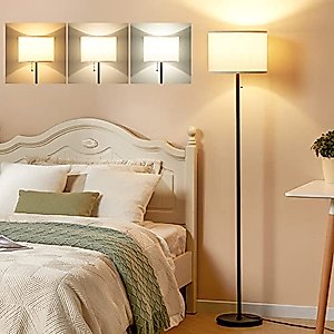 Ambimall Floor Lamp for Bedroom, 3 Color Temperature LED Floor Lamp with Pull Chain Switch, Modern Standing Lamps for Living Room, Office, Kids Room, Reading(Bulb Included)