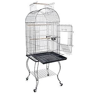 Bird Parrot Cage Cockatiel Amazon African Grey Caique Conure, 20 X 20 X 65"h