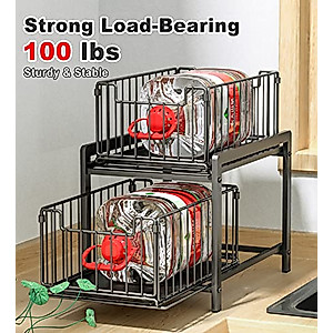 Ryhpez Under Sink Organizers and Storage, 2-Tier Cabinet Organizer Storage with Sliding Baskets Drawer for Kitchen Bathroom (Black)