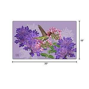 Toland Home Garden 800238 Hummingbird and Flowers Summer Door Mat 18x30 Inch Bird Outdoor Doormat for Entryway Indoor Entrance