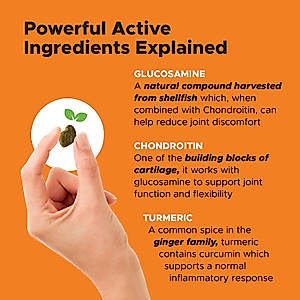 PetHonesty 10 in 1 Multivitamin + Hip & Joint Health Soft Chew Supplement Bundle - Dog Vitamins - Glucosamine Chondroitin, Omegas, Turmeric and MSM for Overall Dog Health, Joint Supplement for Dogs.