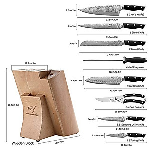 NANFANG BROTHERS Knife Set, 9-Piece Damascus Kitchen Knife Set with Block, ABS Ergonomic Handle for Chef Knife Set, Knife Sharpener and Kitchen Shears, Knife Block Set